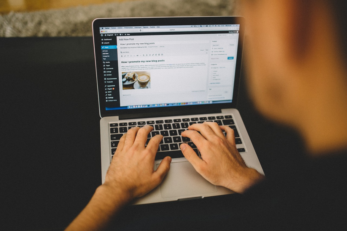 How Does WordPress Work A Beginner s Guide Data Display